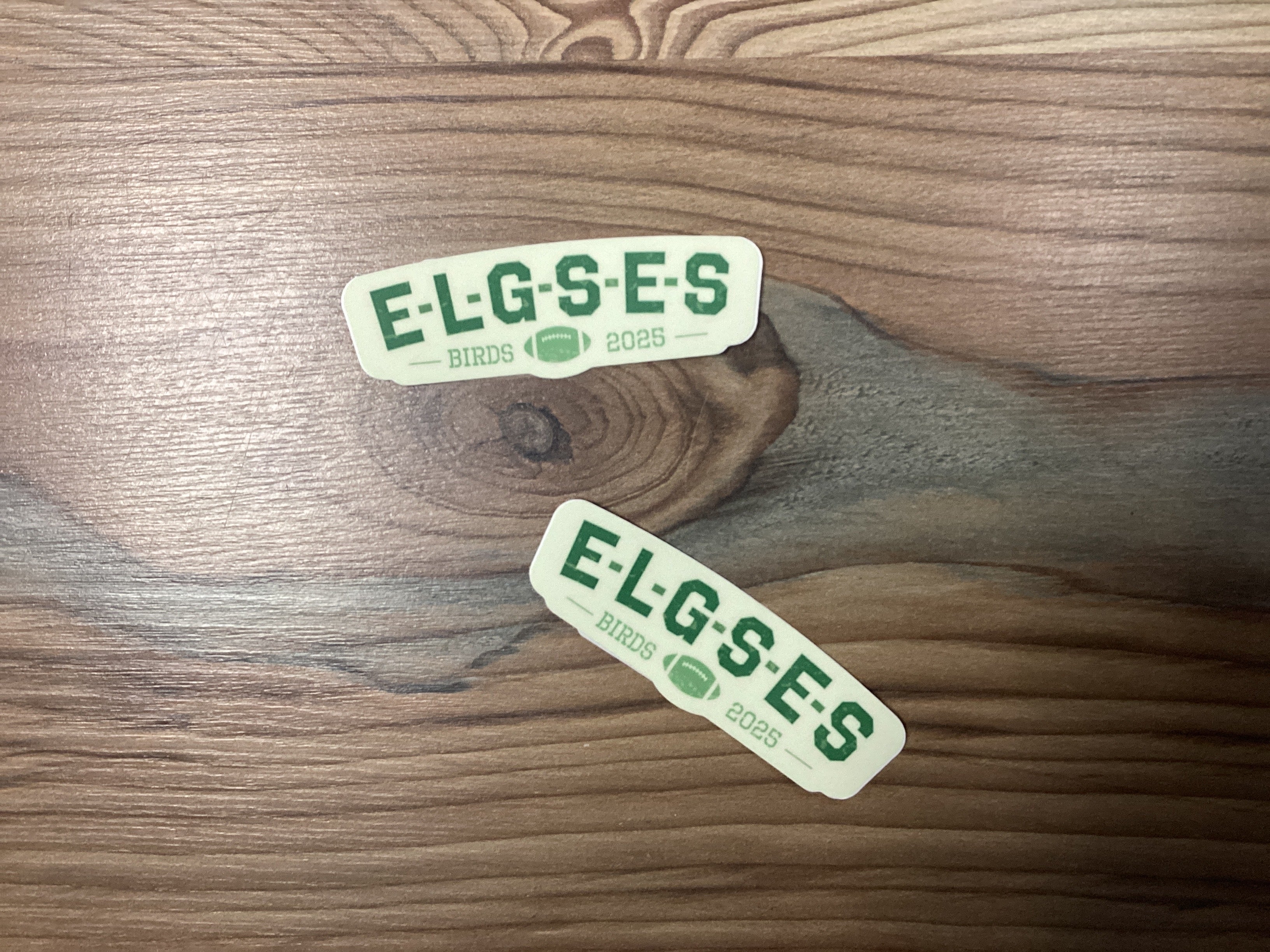 ELGSES 25 Sticker – The Teal Tail